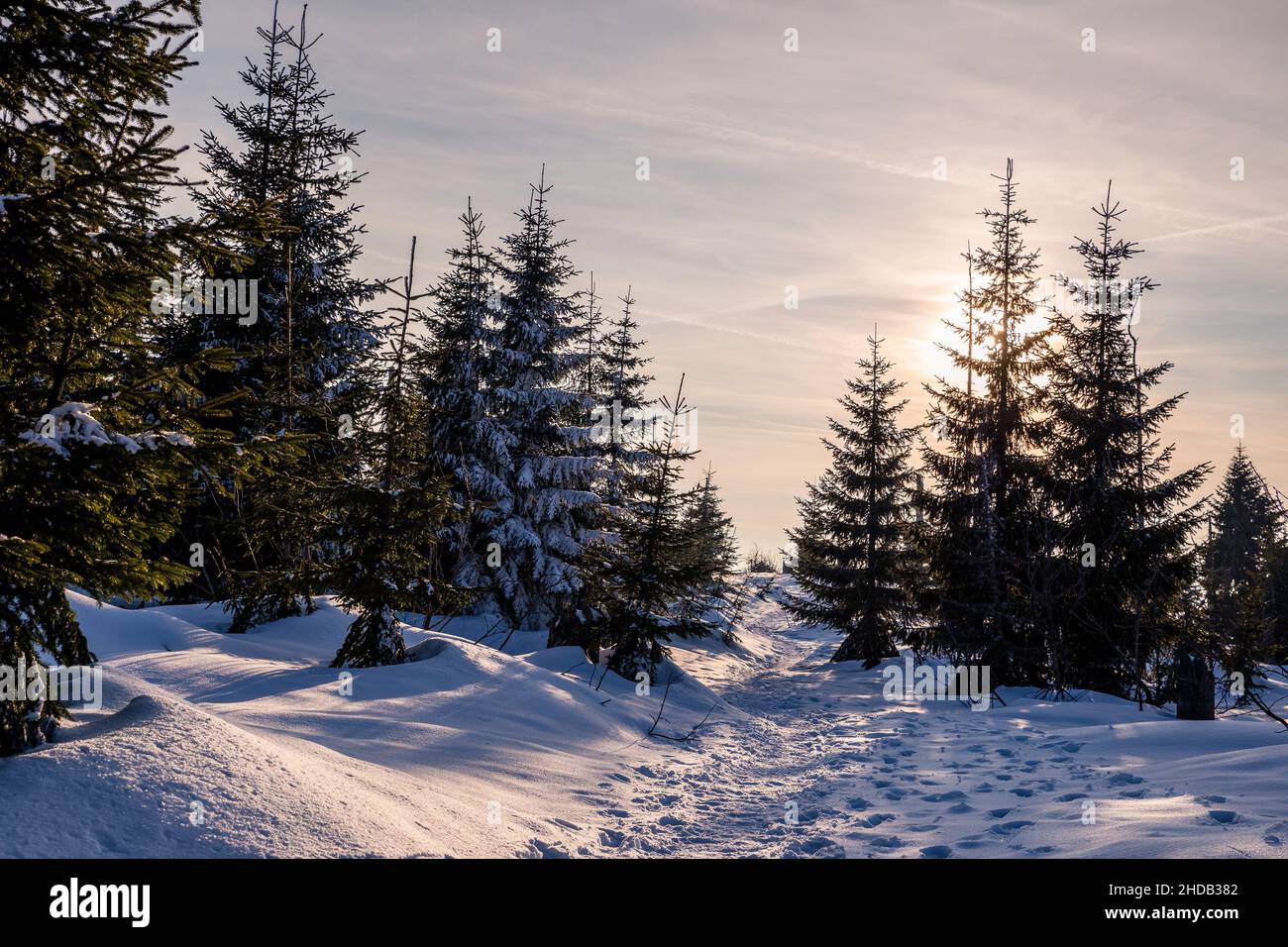 sun behind winter landscape with trees and snow Stock Photo - Alamy