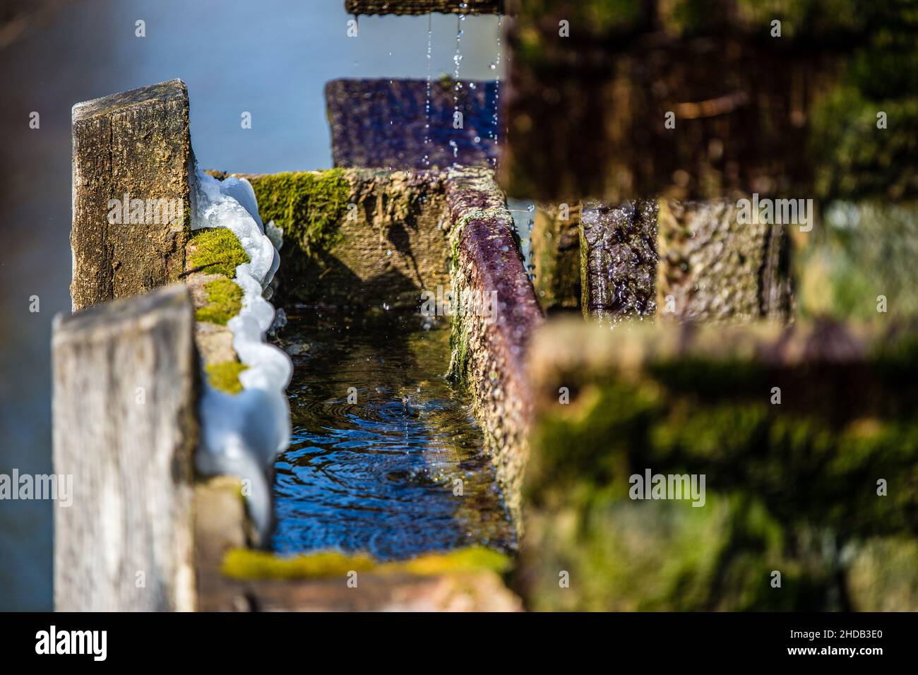 collecting vessel of a mossy water wheel Stock Photo - Alamy
