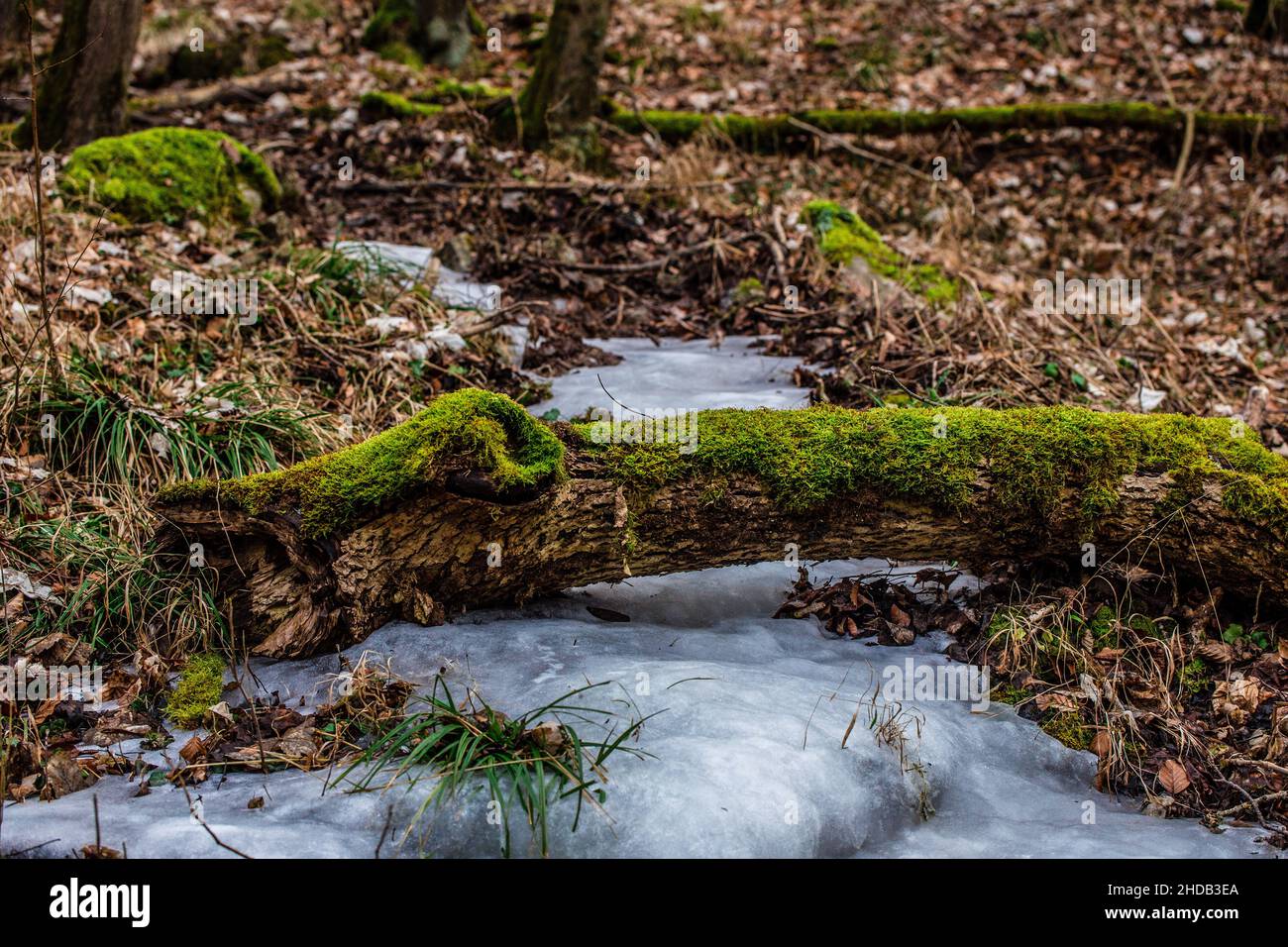 Iced cascade hi-res stock photography and images - Alamy