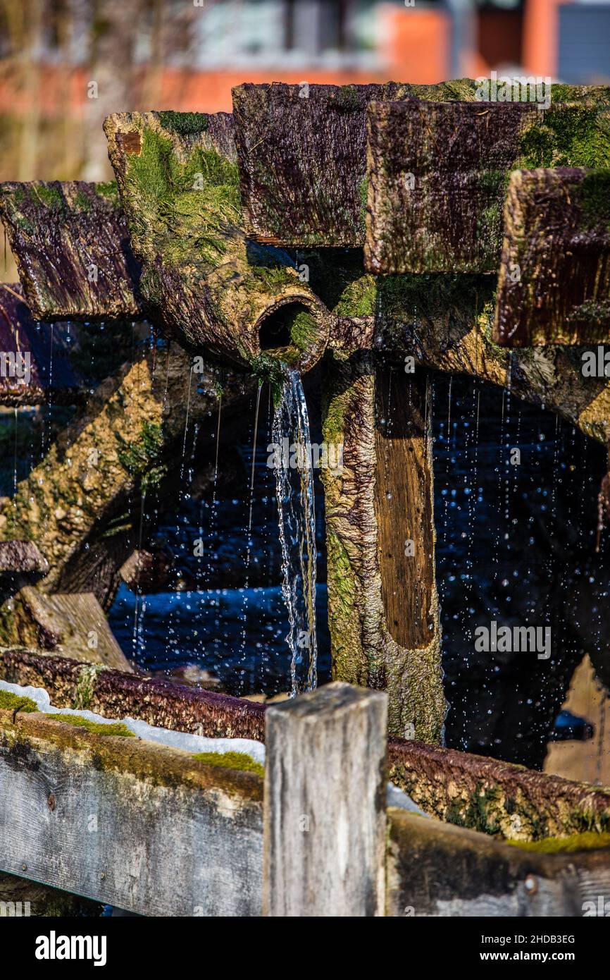 mossy water wheel bucket tips water out Stock Photo - Alamy