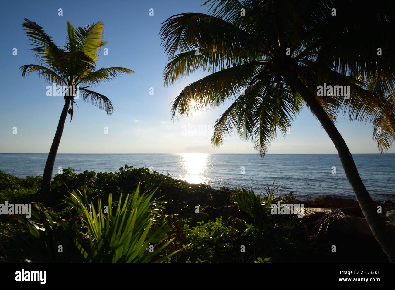 Playa del ray beach hi-res stock photography and images - Alamy