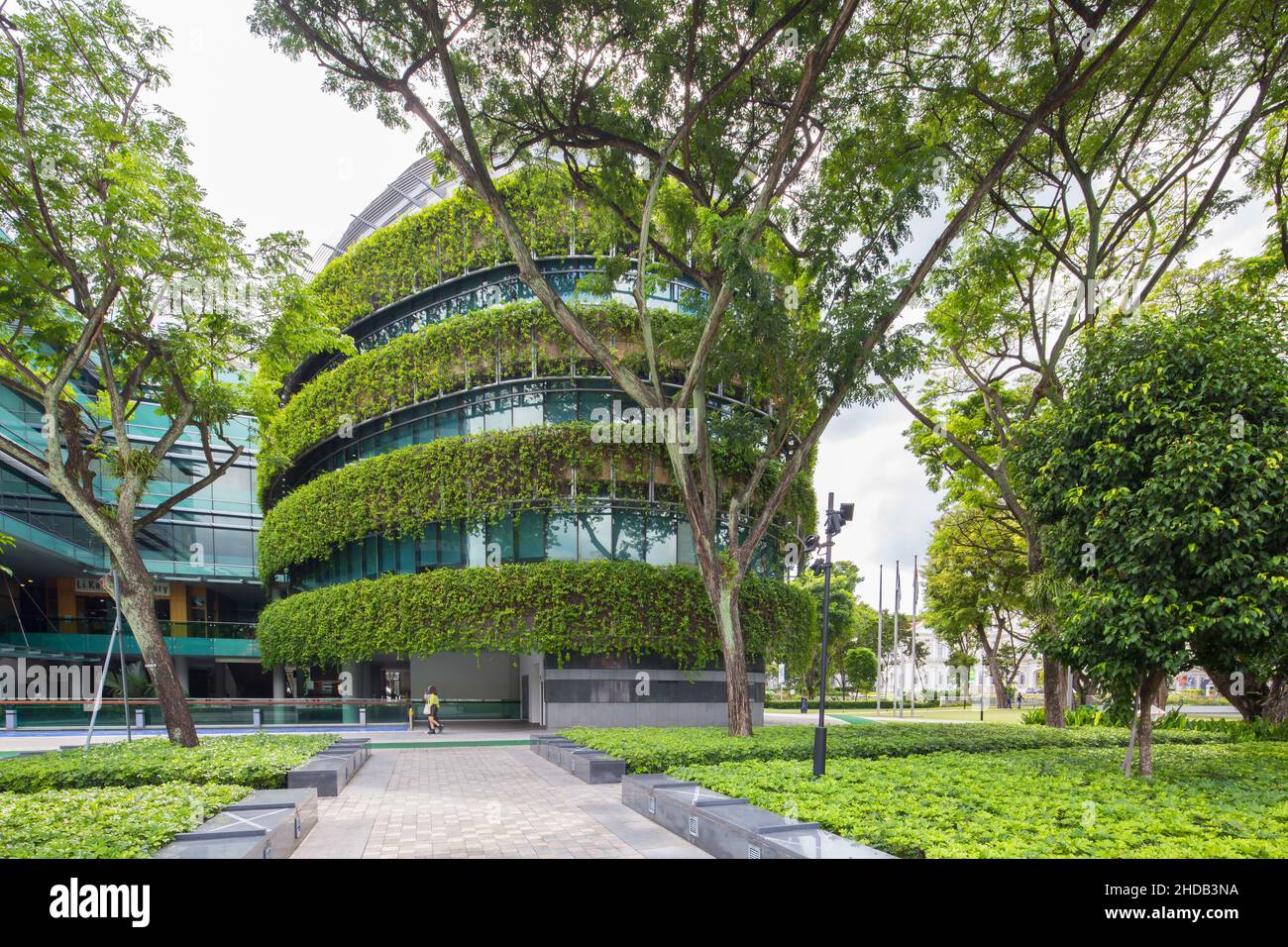 A SMU campus with greenery plants planted on the vertical wall ...