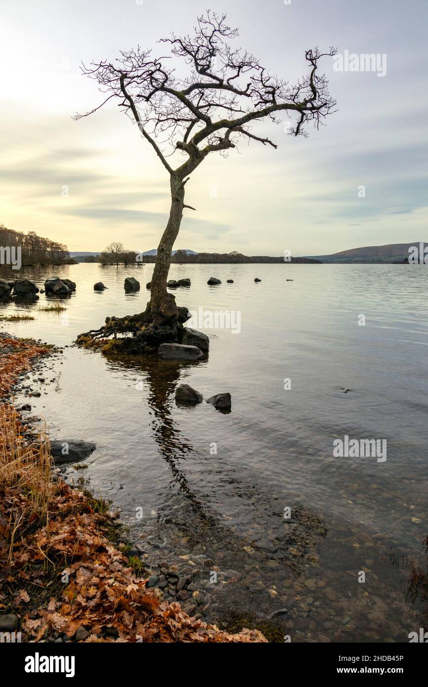 Millarochy hi-res stock photography and images - Alamy