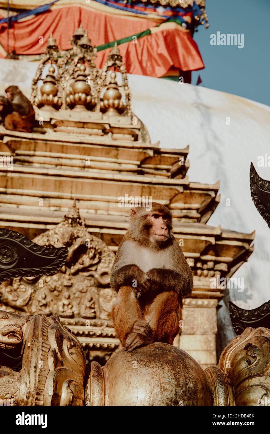 Swayambhunath Temple, The Monkey Temple in Kathmandu Valley, Nepal ...