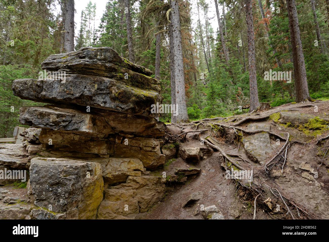 Rocks piled at the side of the path in Banff National Park, Canada ...