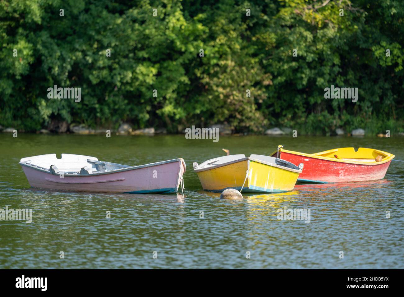 Colorful rowboats in a pond hi-res stock photography and images - Alamy