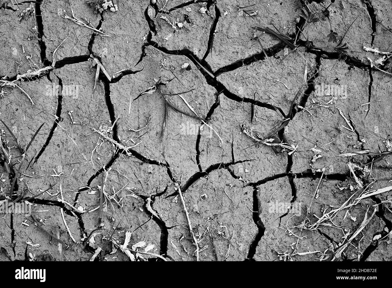 Dried cracked earth, soil ground texture abstract background Stock ...