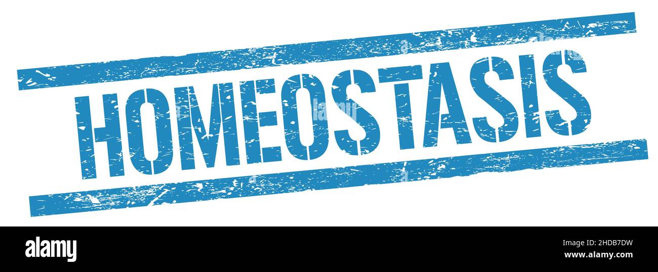 HOMEOSTASIS text on blue grungy rectangle stamp sign Stock Photo - Alamy