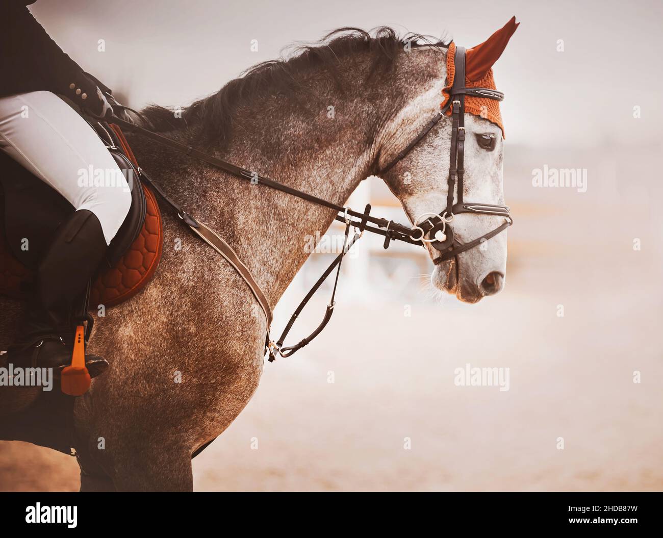 Bright Red Chestnut Horse