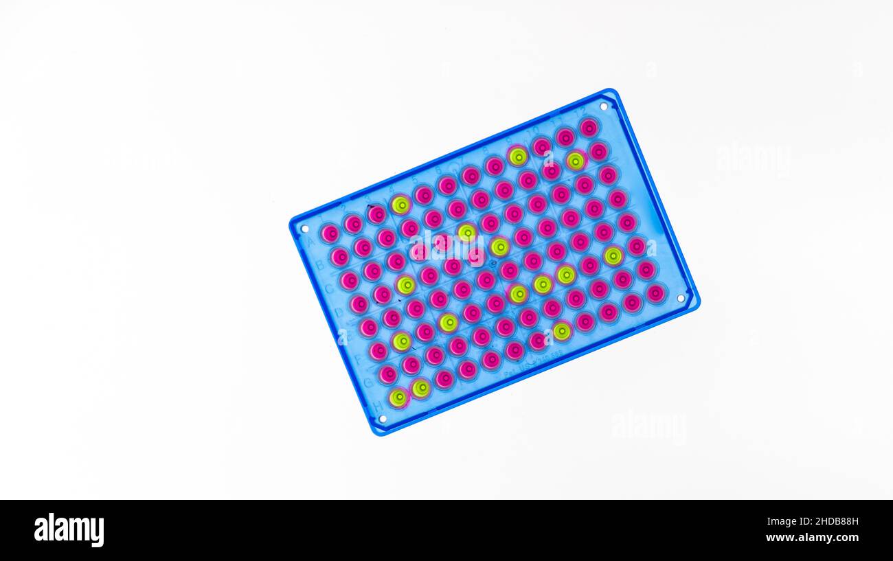 Elisa assay Cut Out Stock Images & Pictures - Alamy