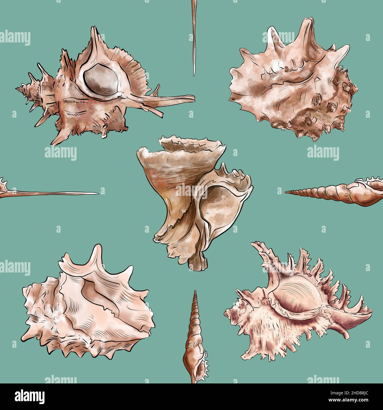 Watercolor digital illustration seamless pattern of seashells from ...