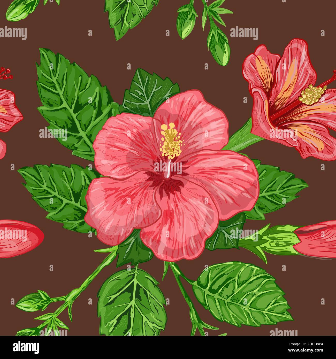 illustration of a seamless pattern of hibiscus plants flowers and ...