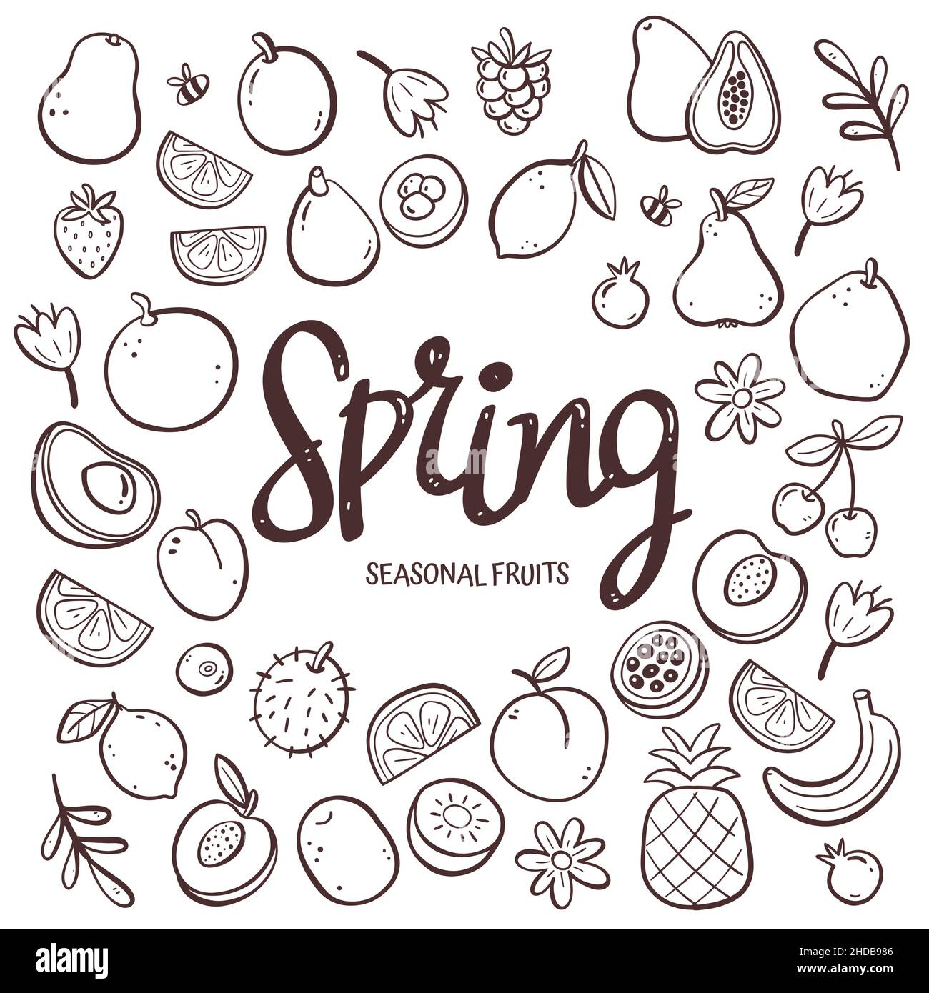 Seasonal fruits background. Hand-drawn spring fruit composition made of ...
