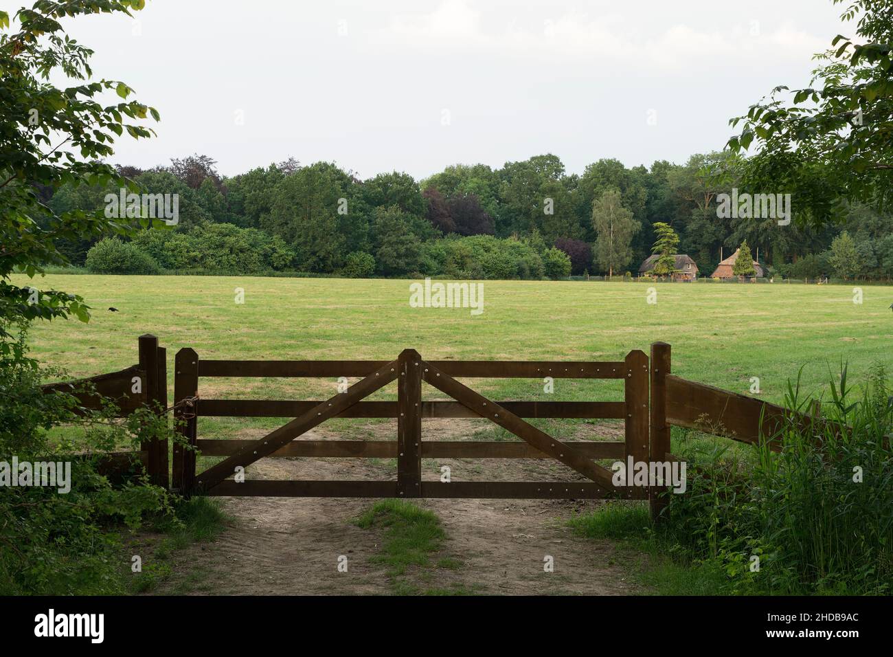 Open gate in a forest hi-res stock photography and images - Alamy