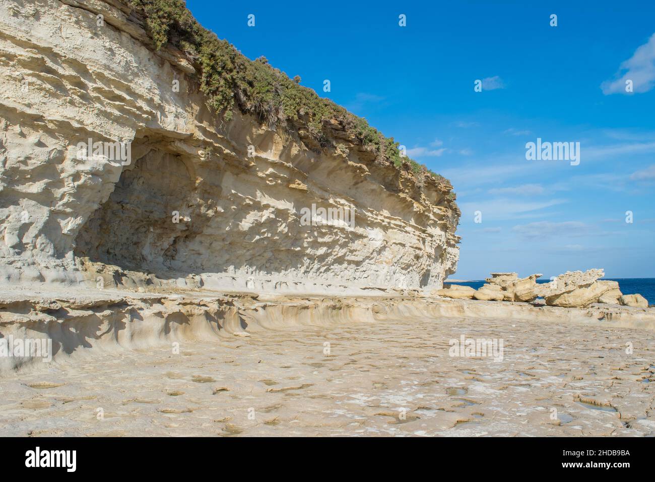 Limestone cliff, notch, wave-cut platform along the coast of Delimara ...