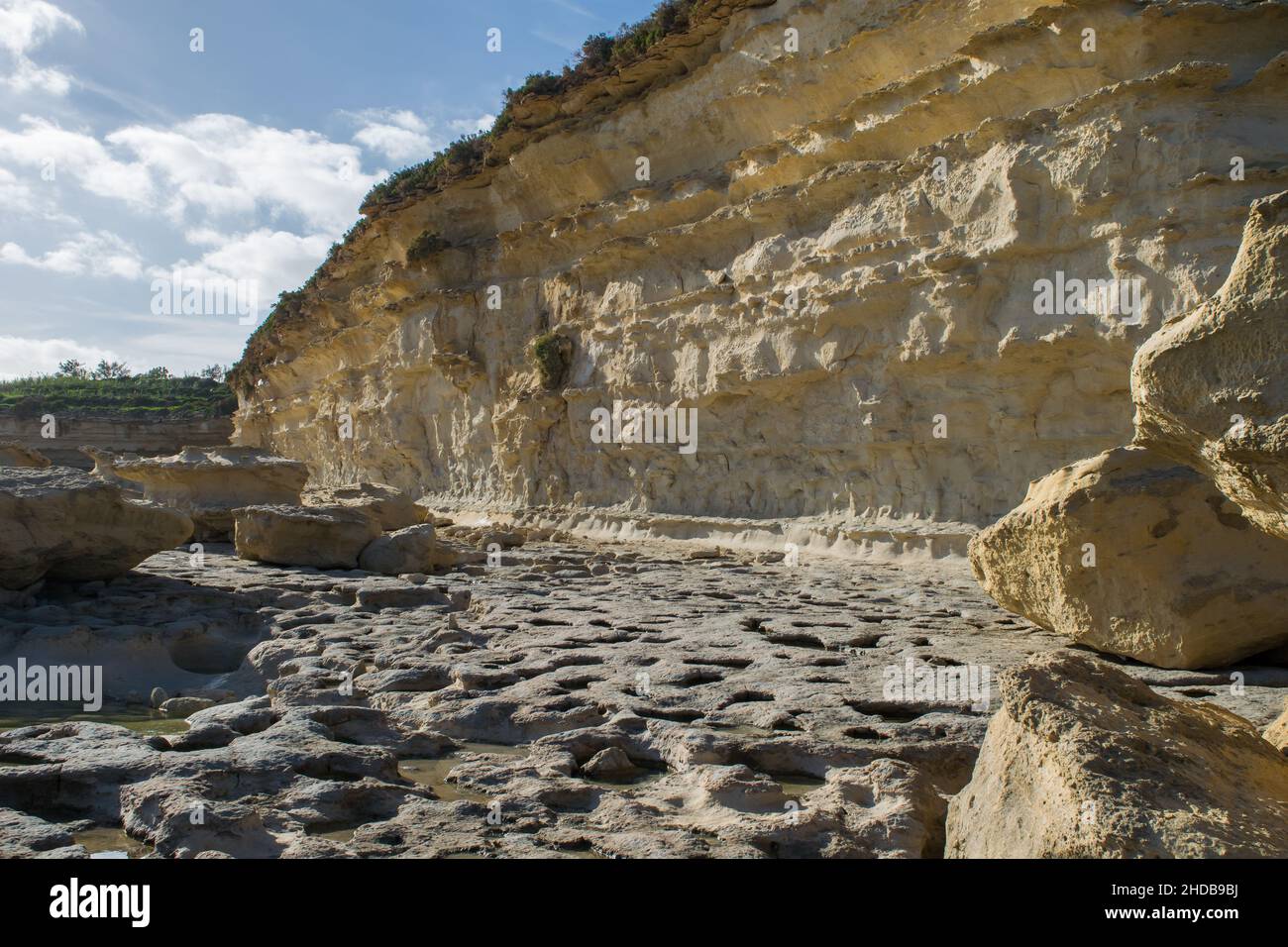 Limestone cliff, notch, wave-cut platform along the coast of Delimara ...