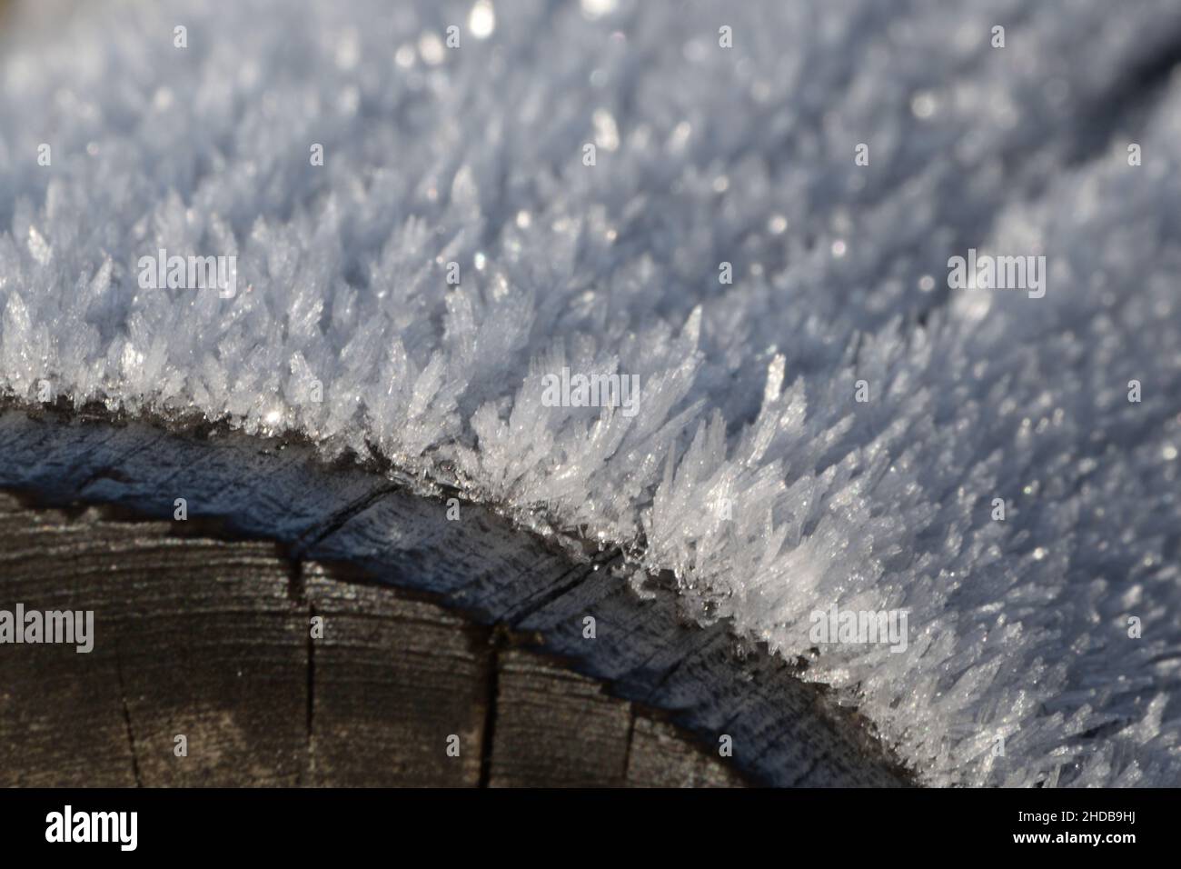 Ice crystals formed on a wooden log Stock Photo - Alamy