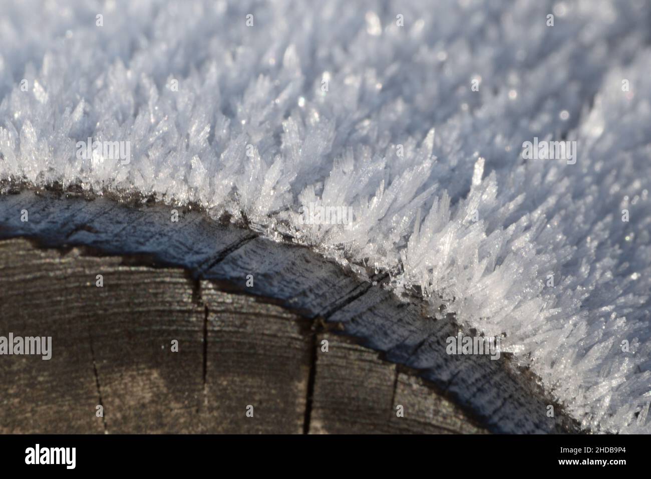 Log on ice hi-res stock photography and images - Alamy