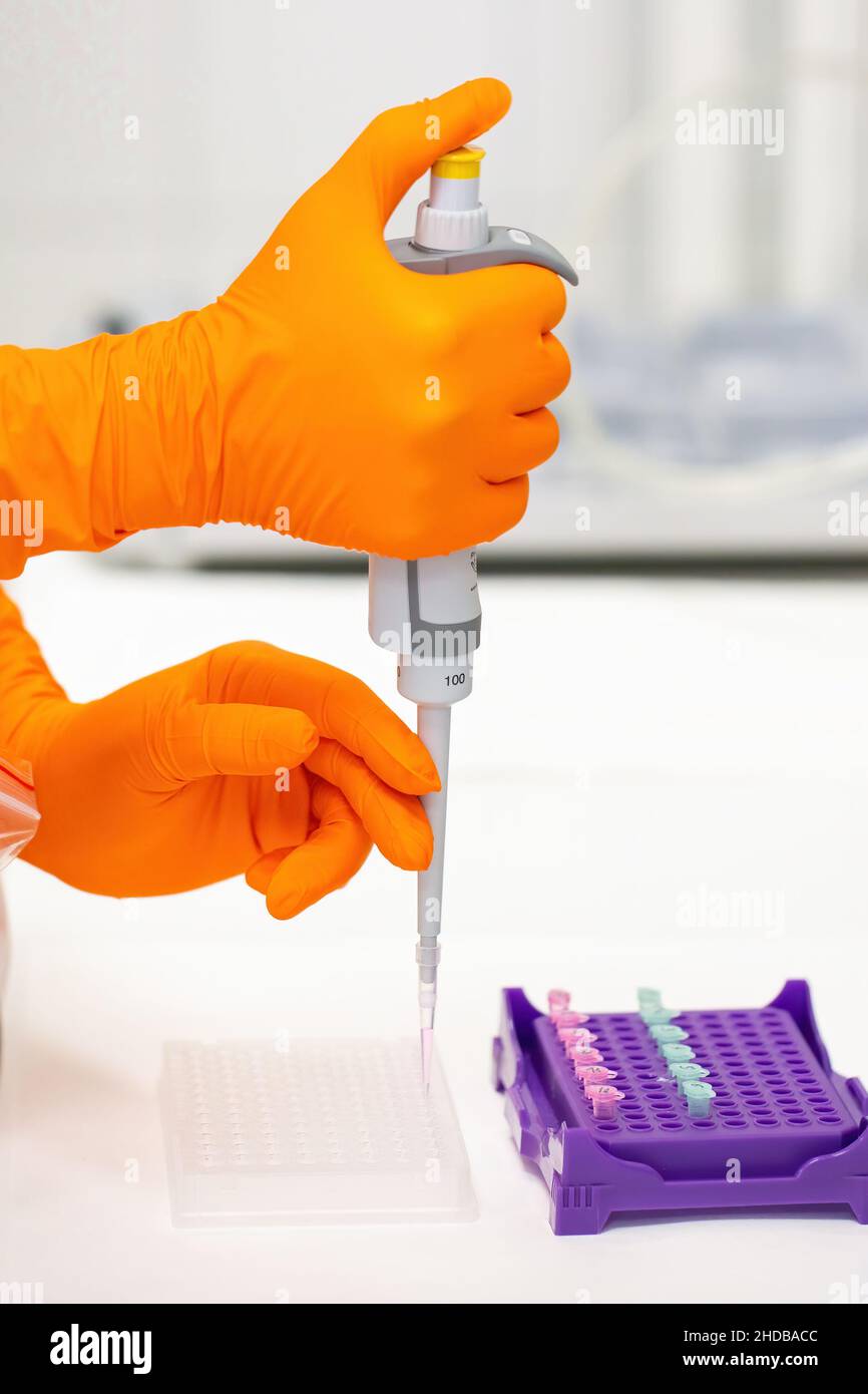 Person holding a pipette in hand and applying liquid into flasks in ...
