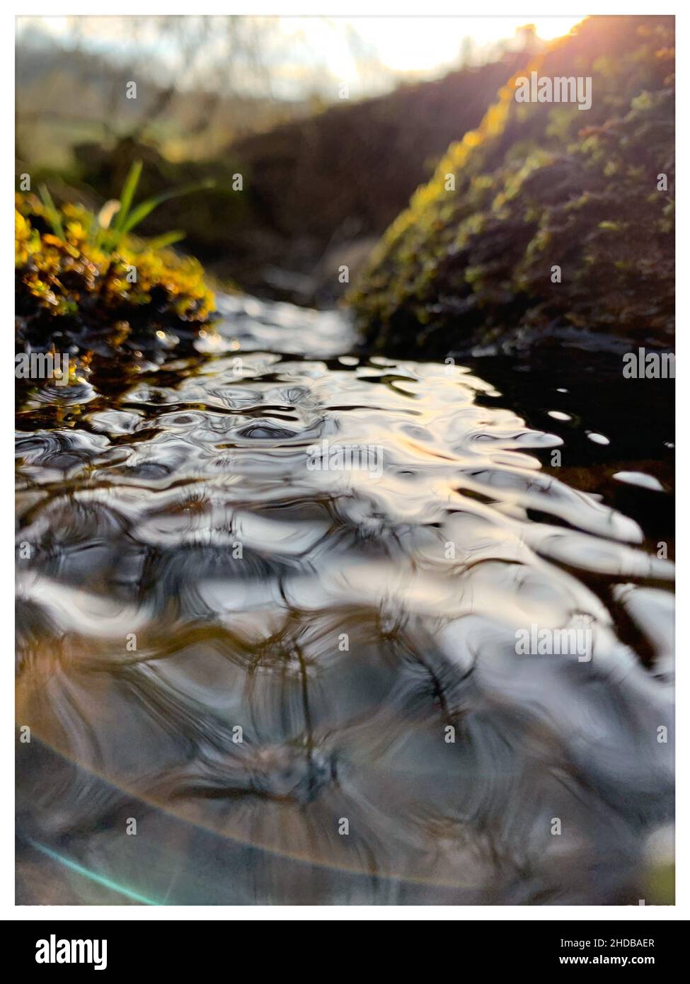 Small stream in the sunset Stock Photo - Alamy