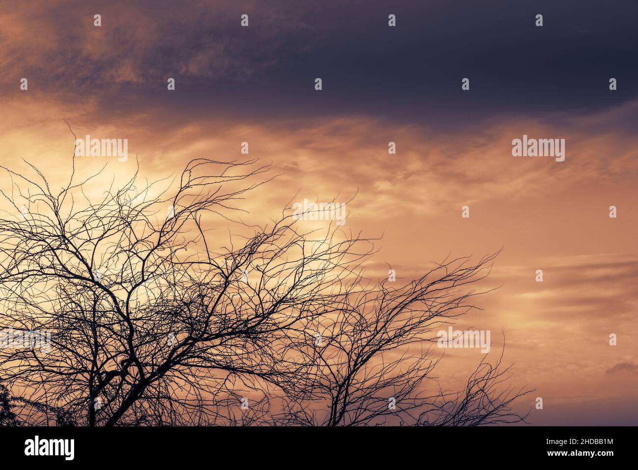 Saudi desert sunset hi-res stock photography and images - Alamy