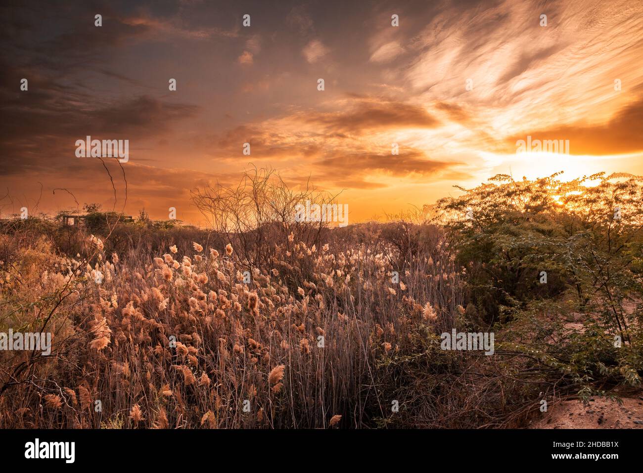 Saudi desert sunset hi-res stock photography and images - Alamy