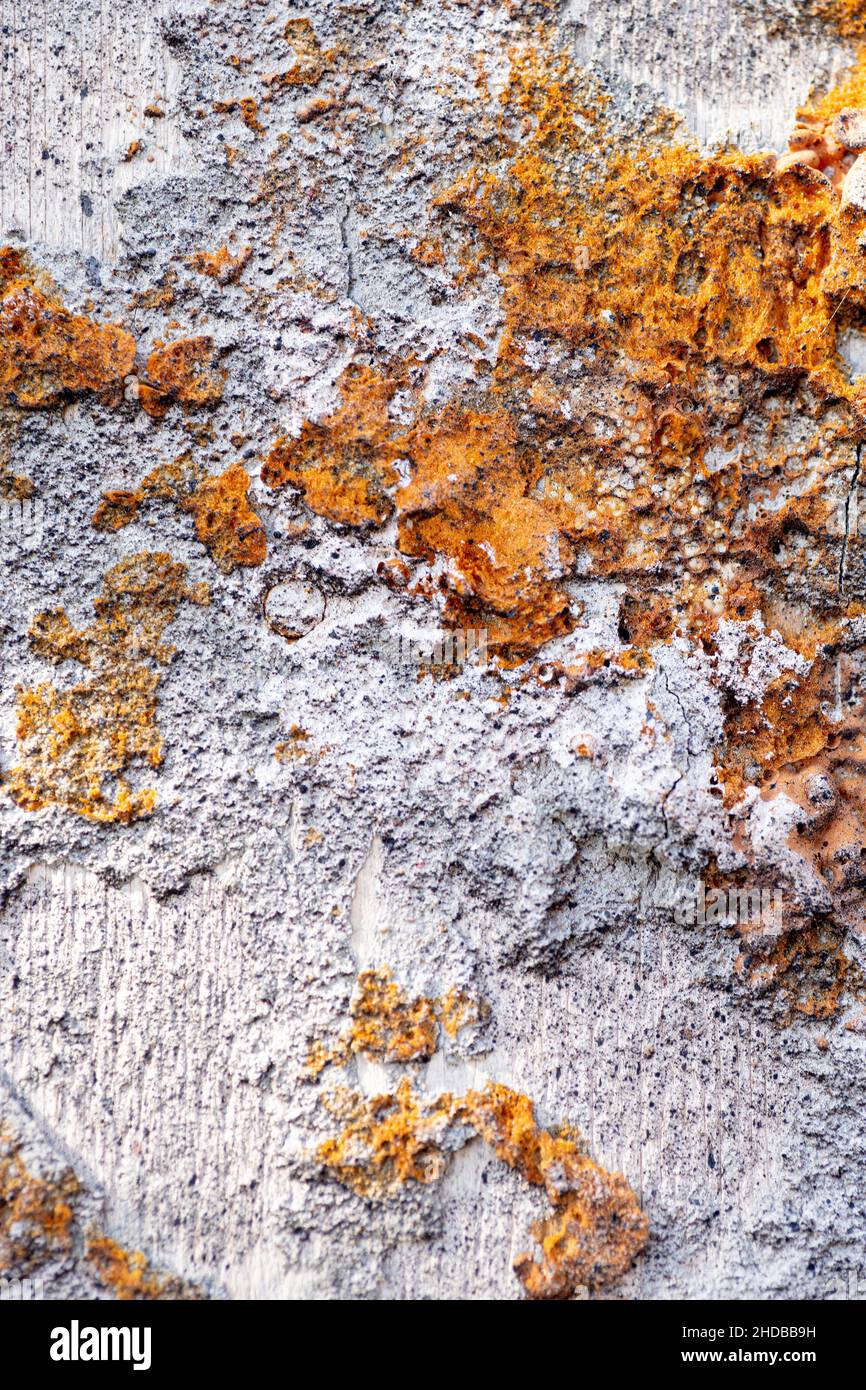 Moldy wood texture hi-res stock photography and images - Alamy