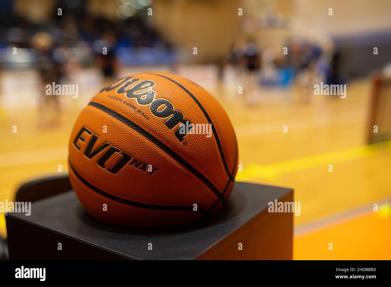 Euroleague logo hi-res stock photography and images - Alamy