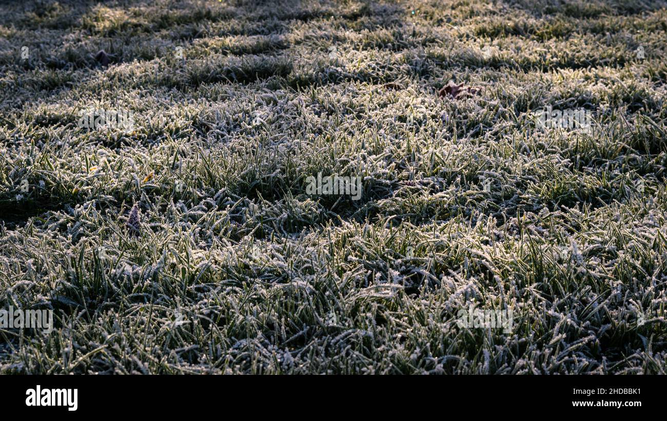 Frost background hi-res stock photography and images - Alamy