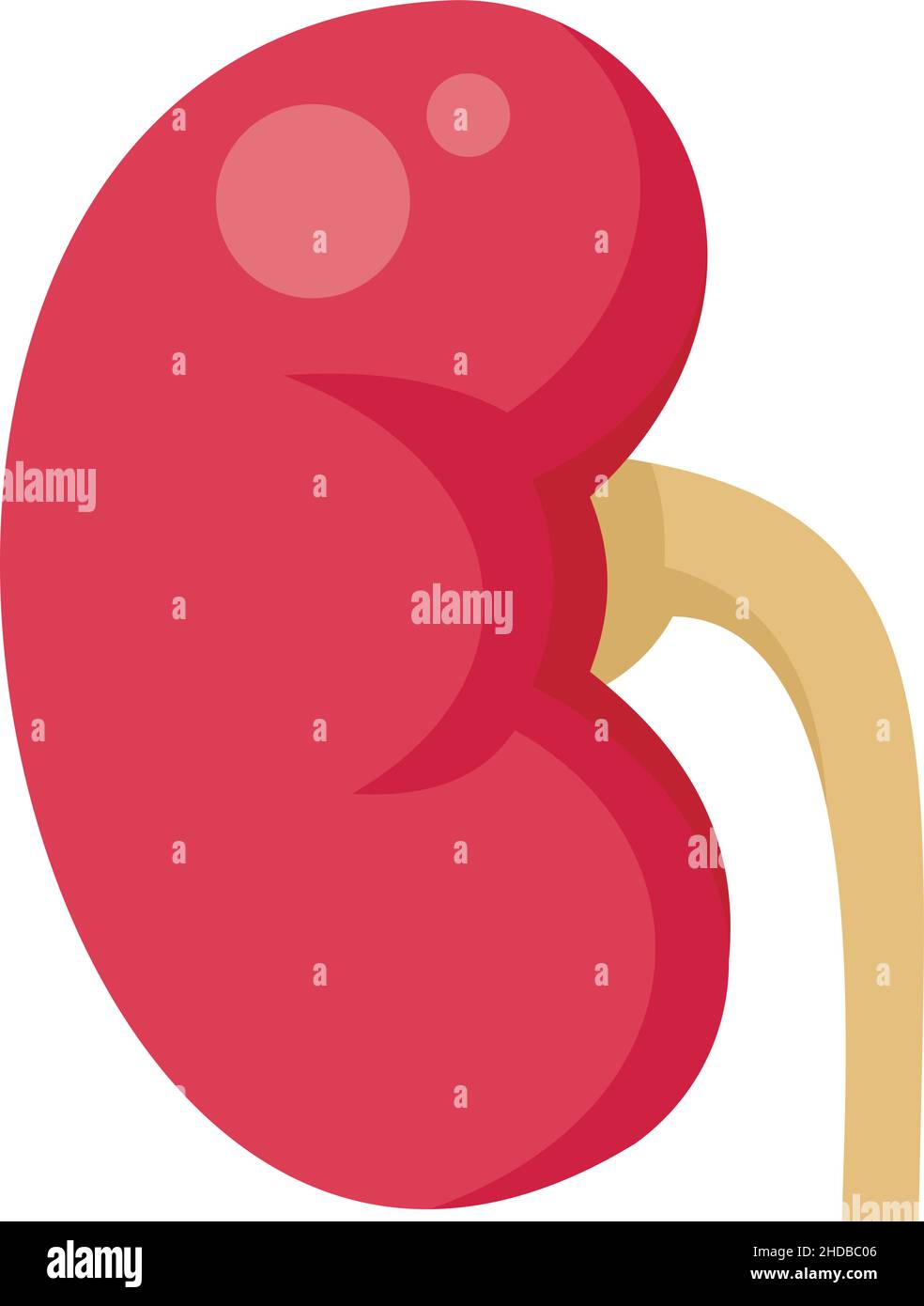 Pain kidney icon. Flat illustration of Pain kidney vector icon isolated ...