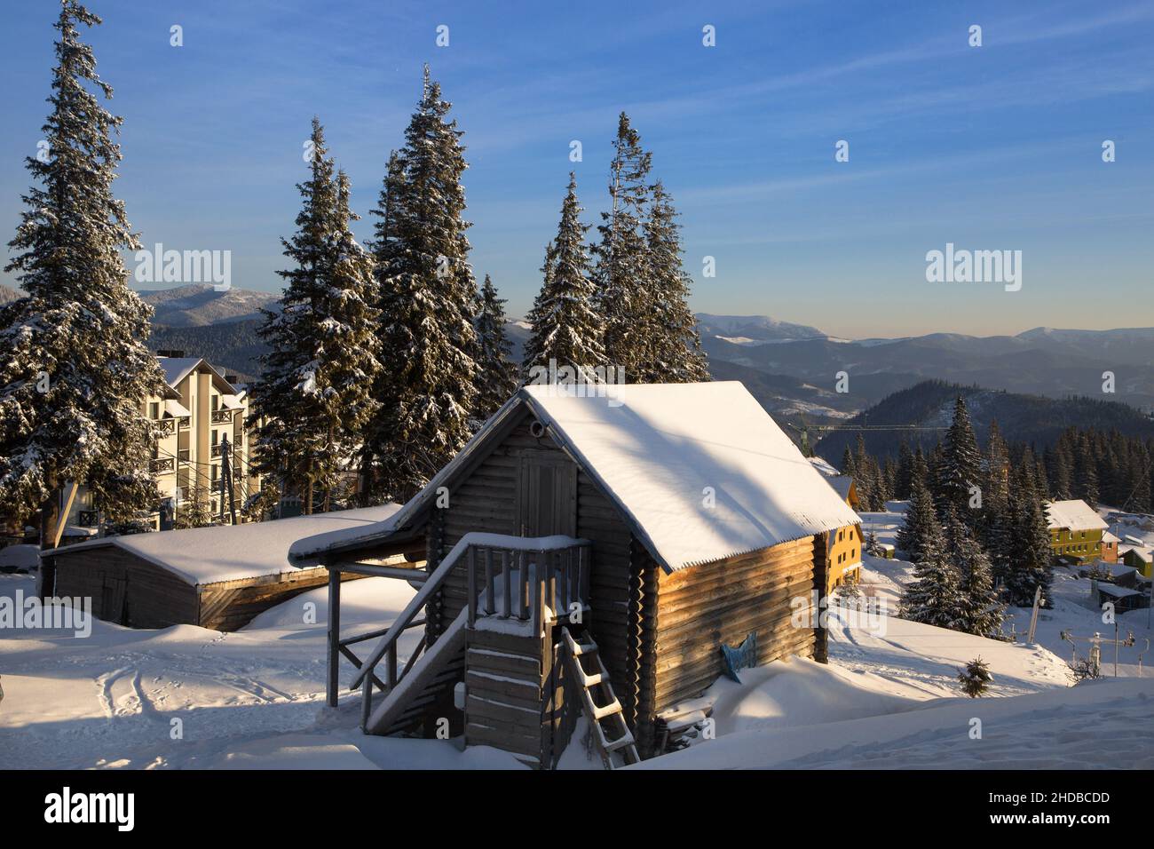 beautiful winter landscape with tall snow-covered conifers and a cozy ...