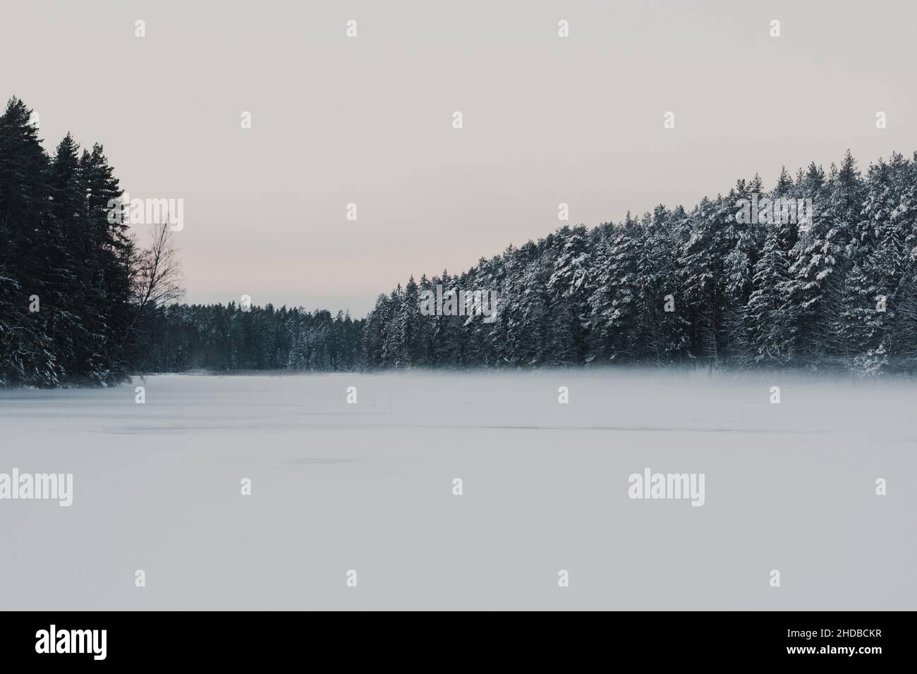 Beautiful winter landscape nature snow forrest scene at outdoor ...