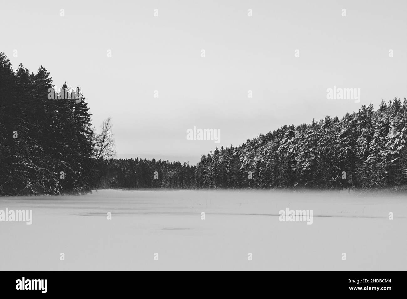 Beautiful winter landscape nature snow forrest scene at outdoor ...