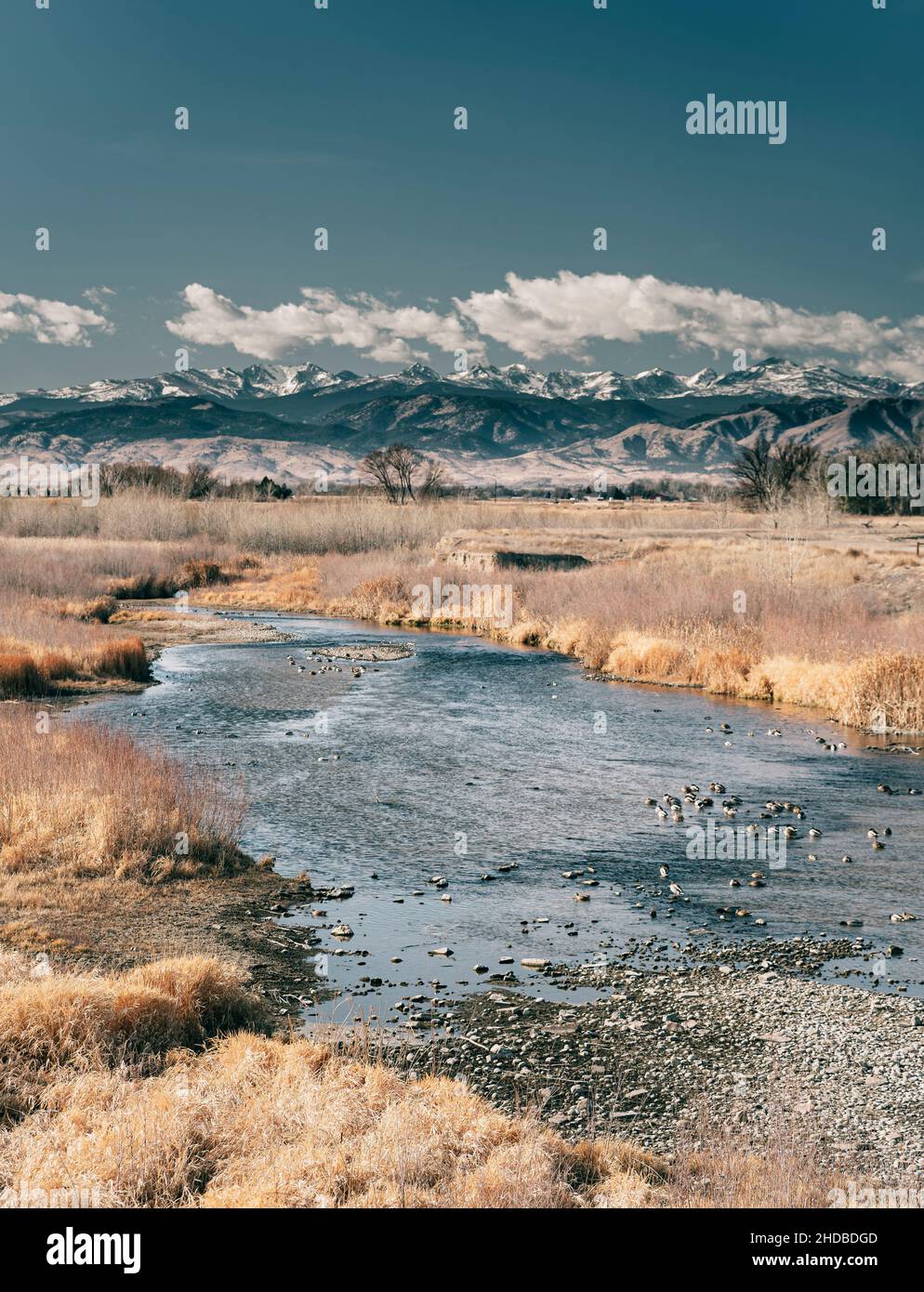 Tributary stream colorado river hi-res stock photography and images - Alamy