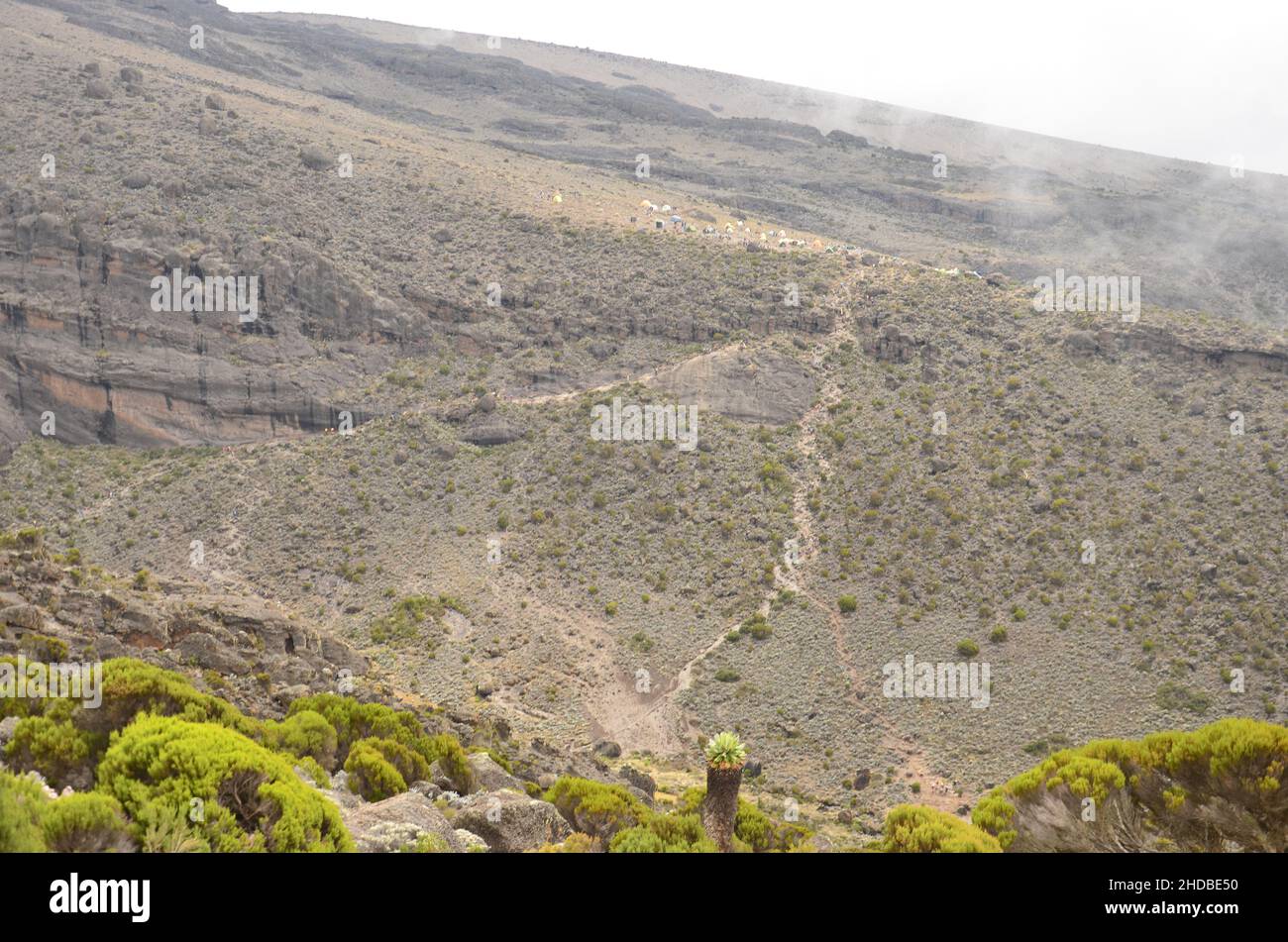 hike on the kilimanjaro in tanzania. Path between Barranco and Karanga ...
