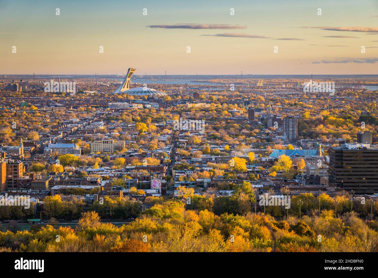 Camilien houde hi-res stock photography and images - Alamy