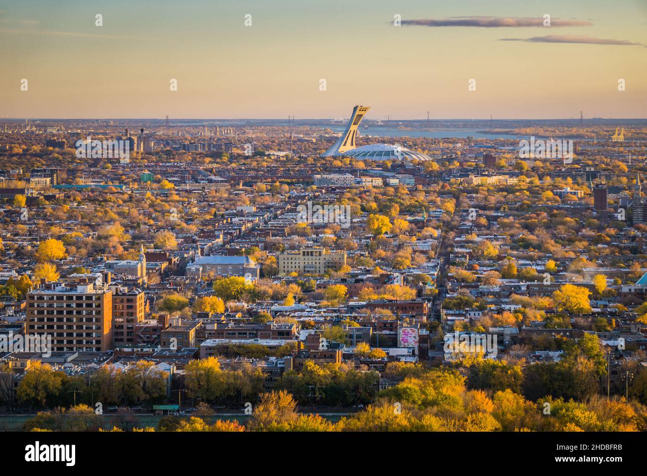 Camilien houde hi-res stock photography and images - Alamy