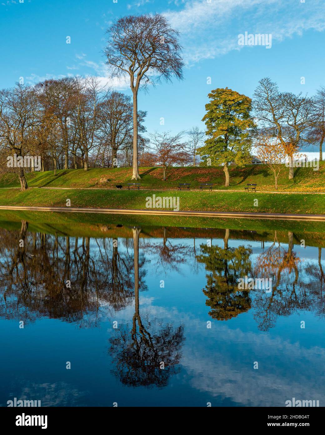 Duthie park hi-res stock photography and images - Alamy