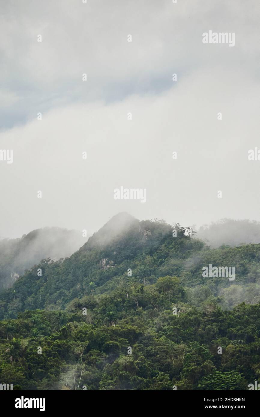 Breathtaking rainforest hi-res stock photography and images - Alamy