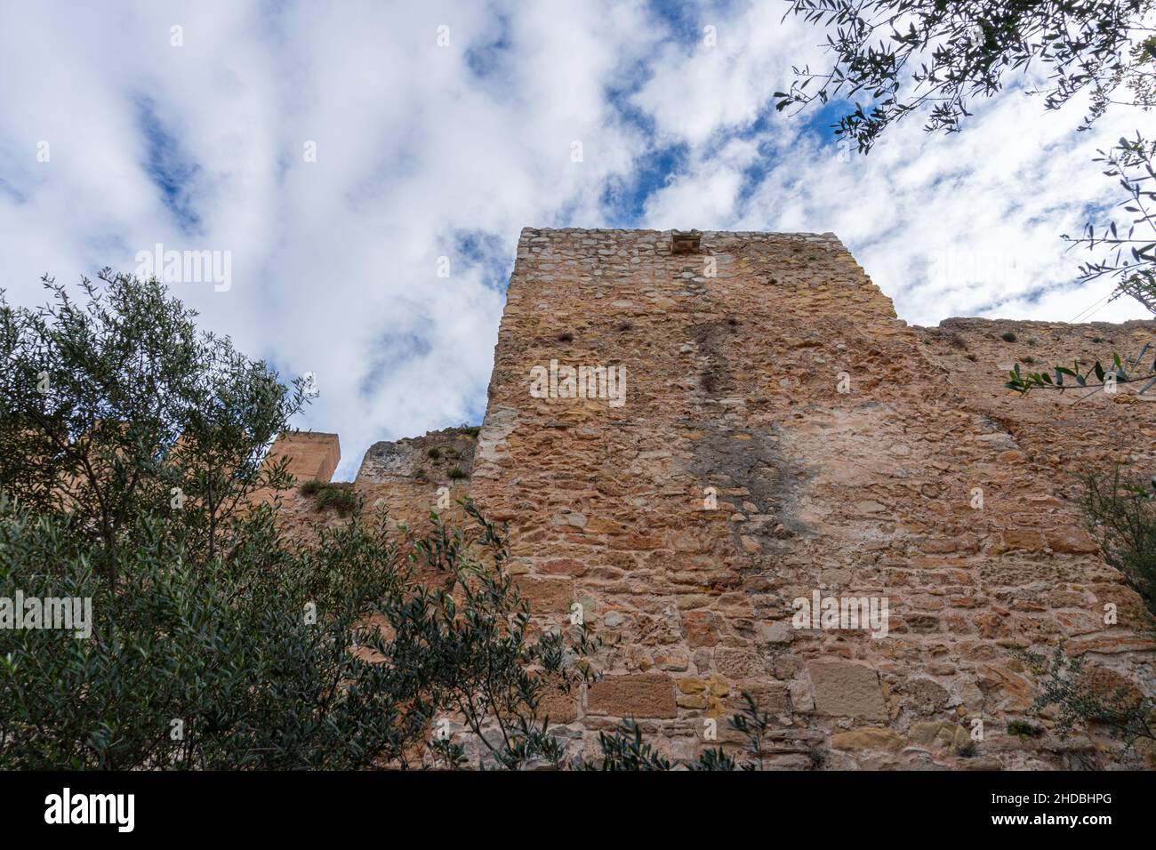 A low angle shot of the tower of an old castle and tree branches under ...
