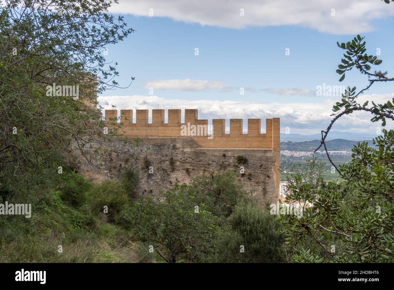 Closeup of the tower of an old castle trough tree branches under cloud ...