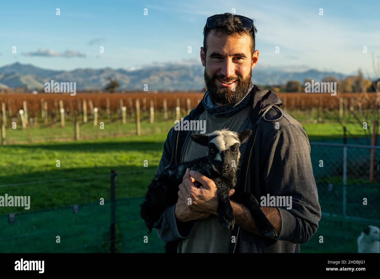 Sheep hugging hi-res stock photography and images - Alamy
