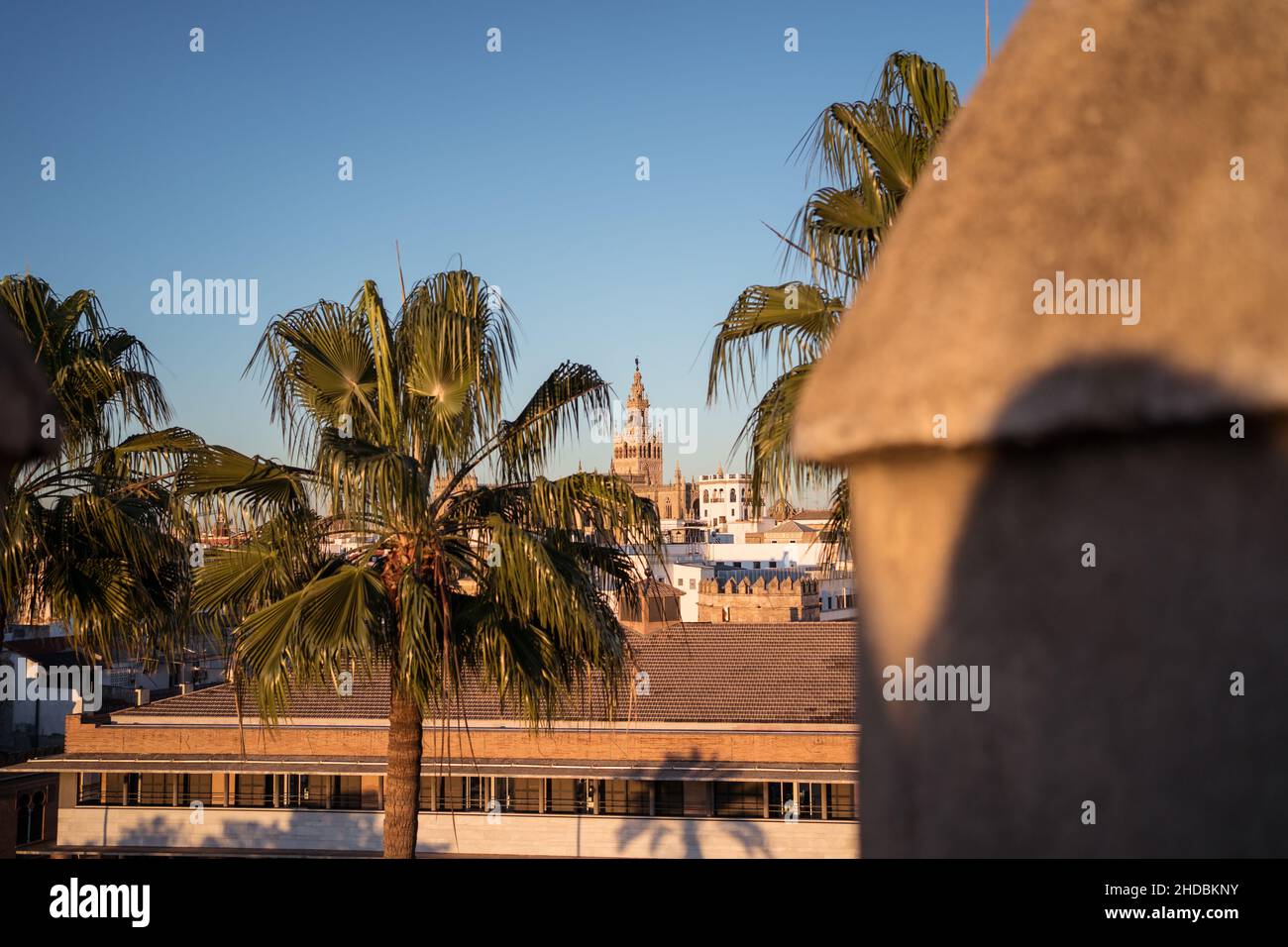 View of the Cathedral of Seville from afar with palm trees around Stock ...