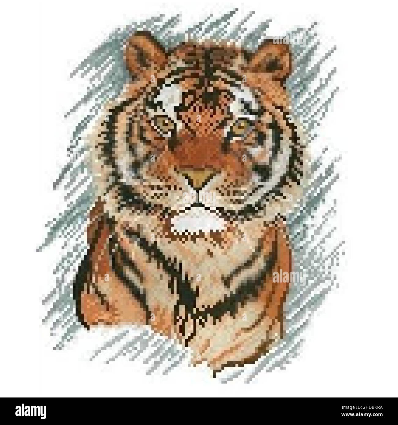 Pixel tiger High Resolution Stock Photography and Images - Alamy