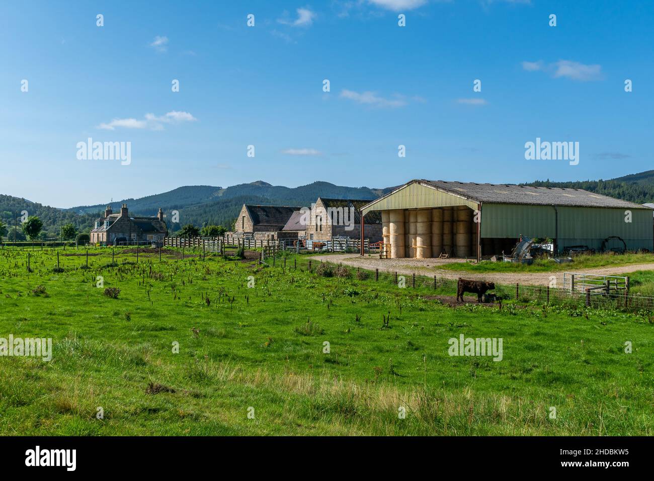 Farmland at Ballater Stock Photo - Alamy