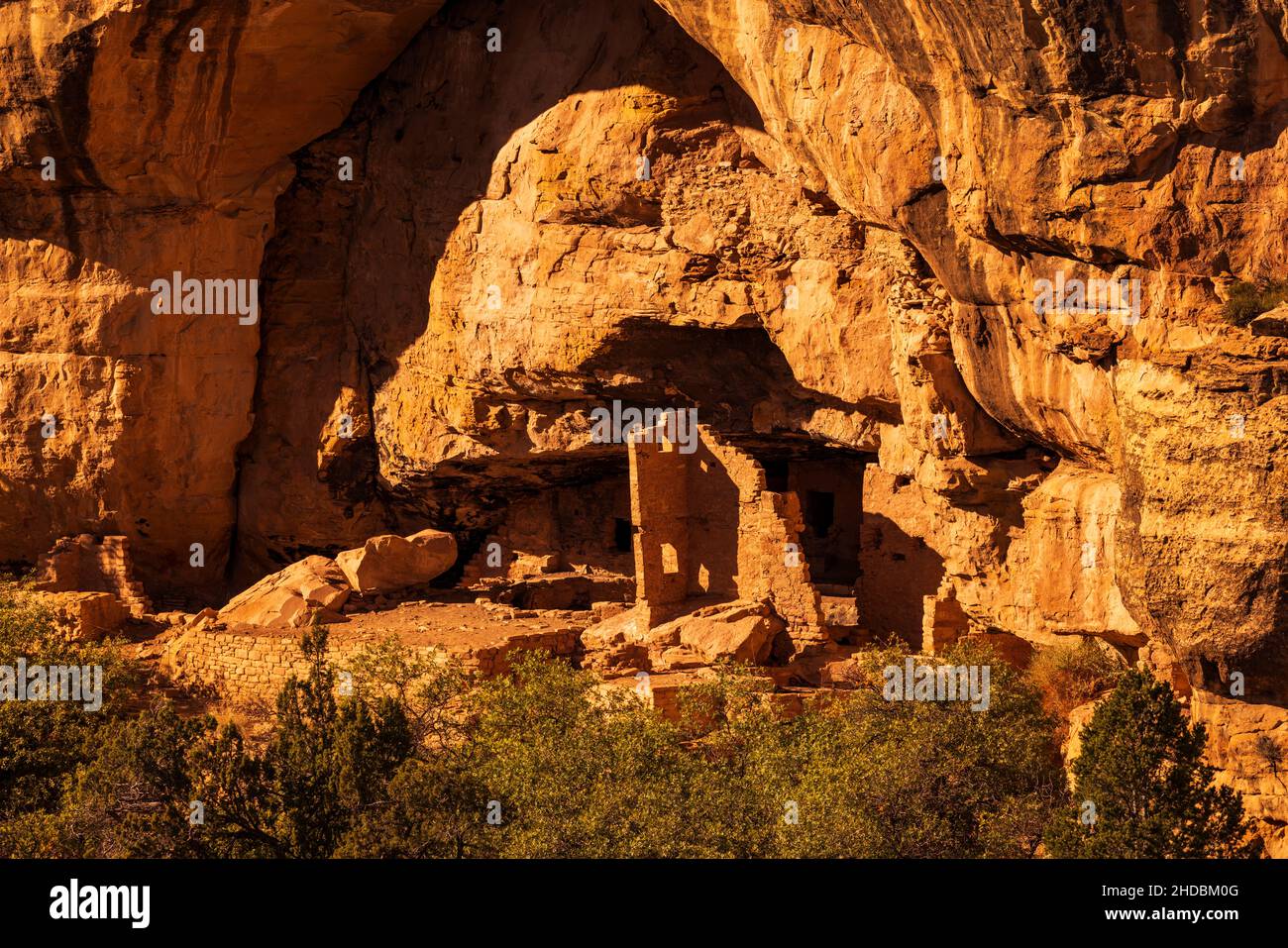 Oak Tree House in late afternoon, Mesa Verde National Park, Colorado ...