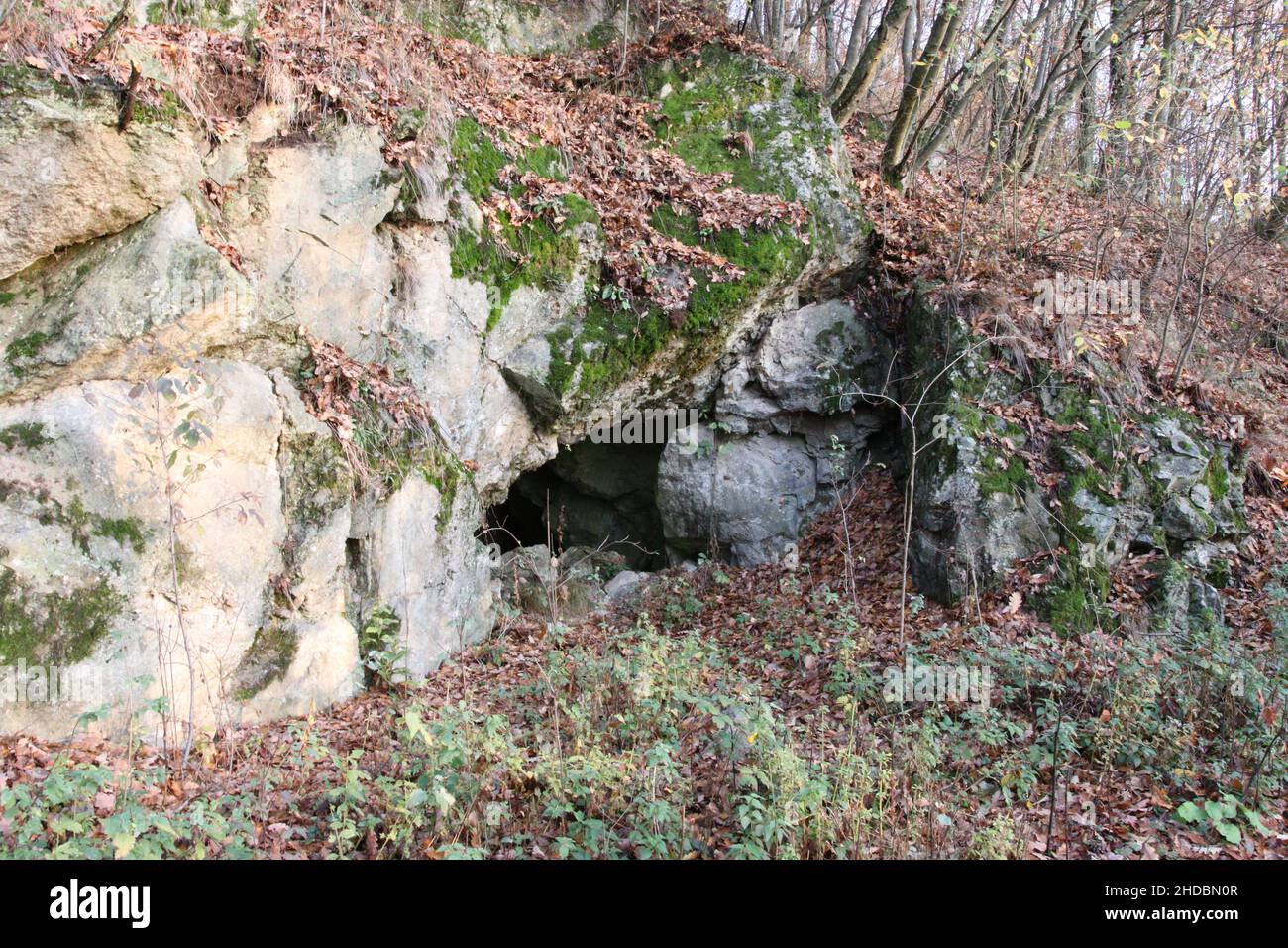 Daylight environment hi-res stock photography and images - Alamy