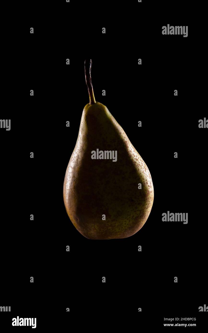 Whole shaped tree hi-res stock photography and images - Alamy