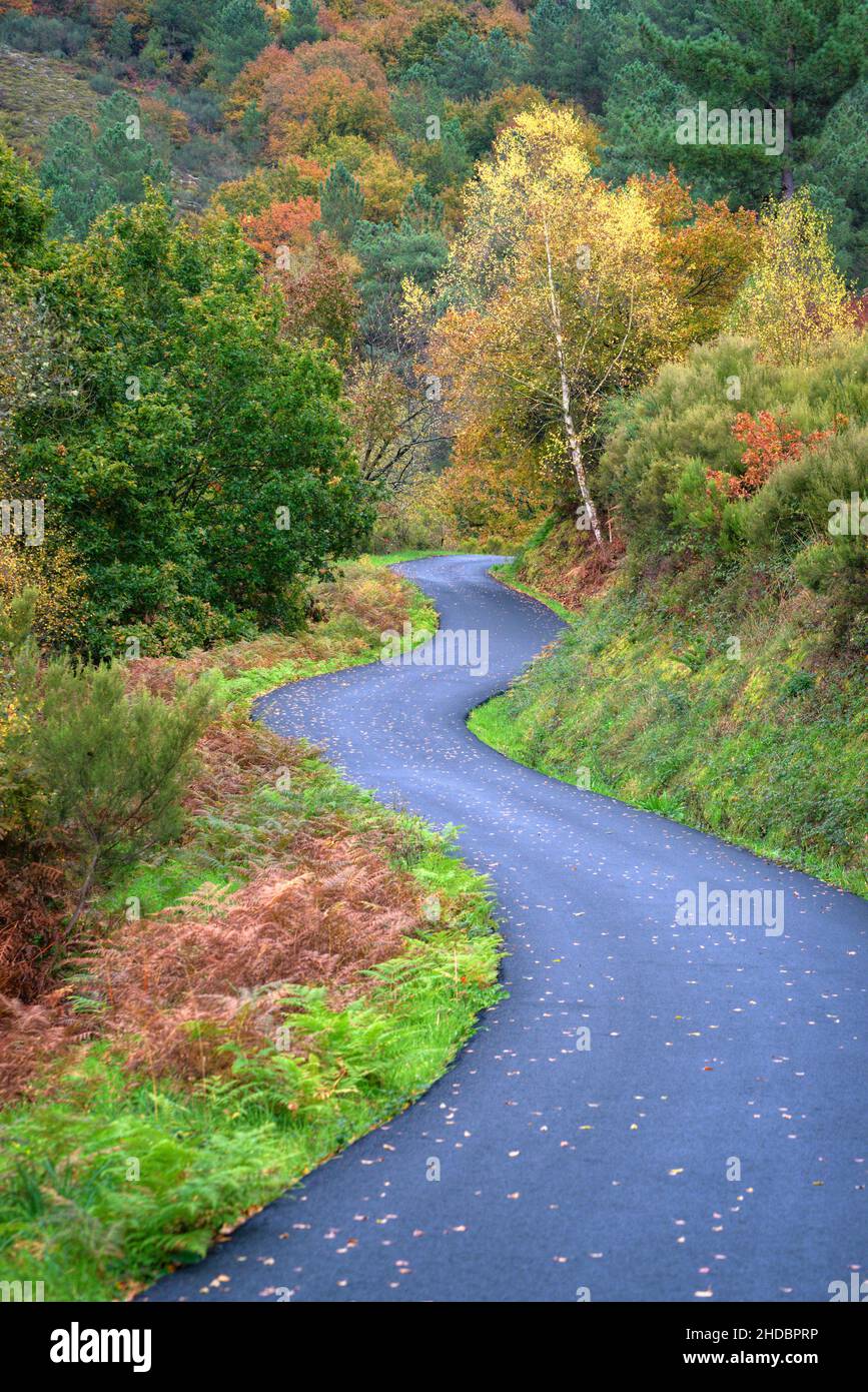 Curved rural road runs through autumnal landscapes in Portomarin ...