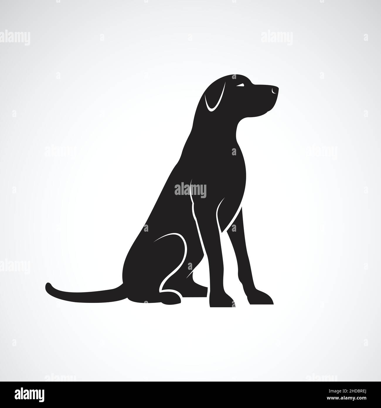 Labrador retriever black line Stock Vector Images - Alamy